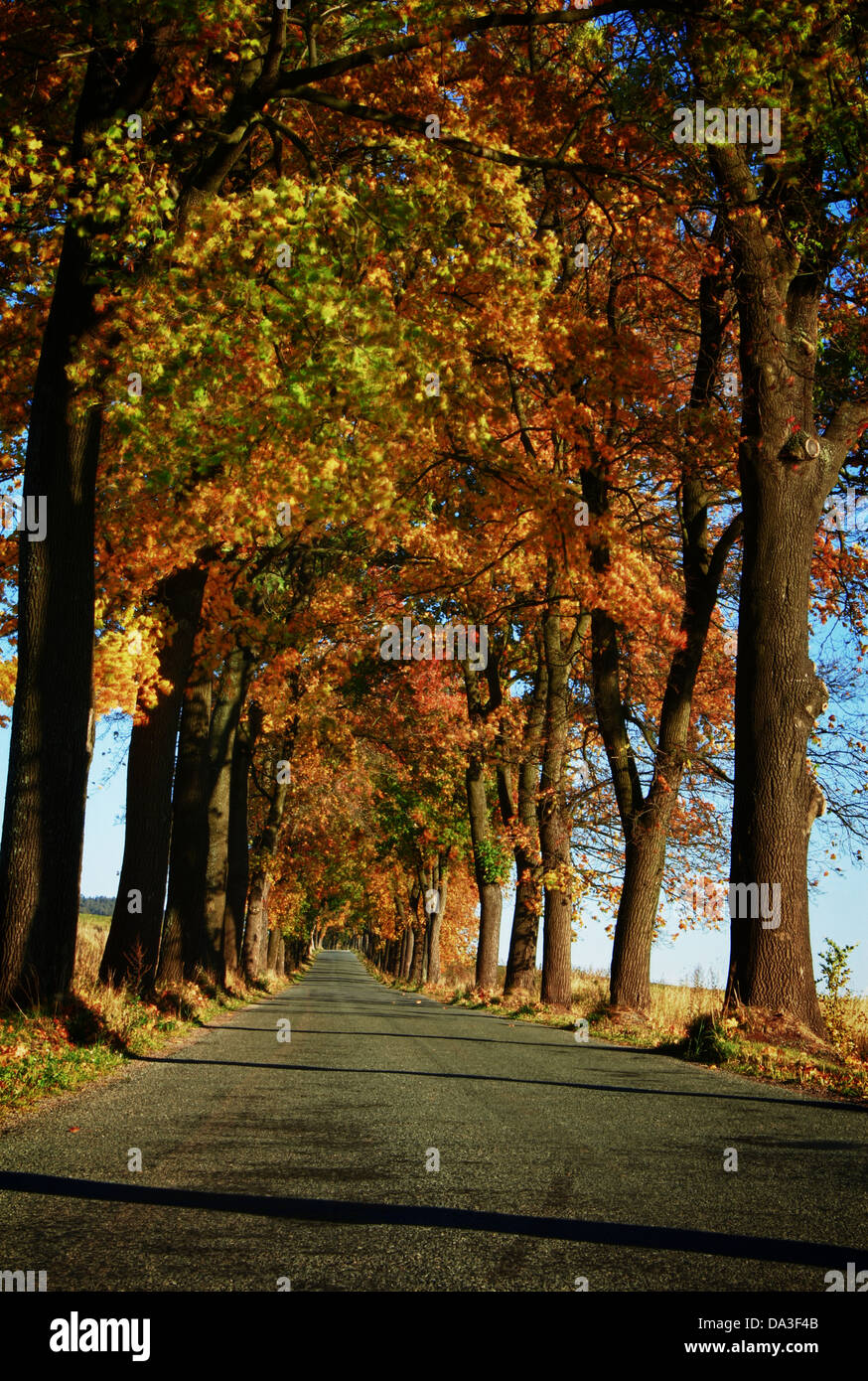 Highways nature hi-res stock photography and images - Alamy