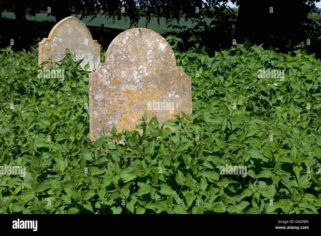 Headstone overgrown hi-res stock photography and images - Alamy
