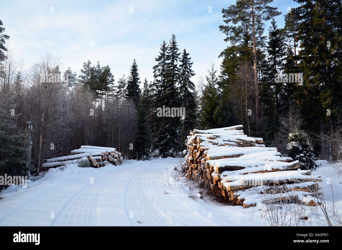 Stacks wood on roadside hi-res stock photography and images - Alamy