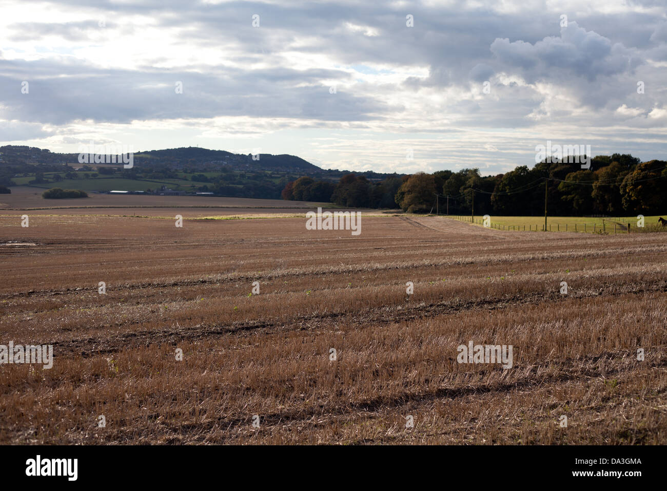 Farm field in Cheshire Stock Photo - Alamy