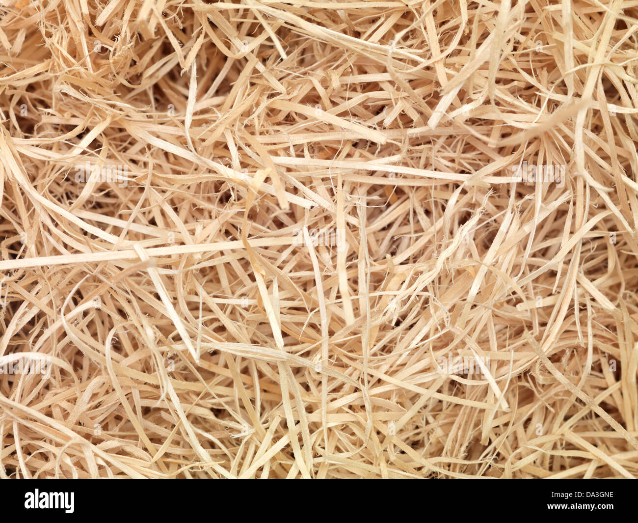 A close up shot of barn straw Stock Photo - Alamy