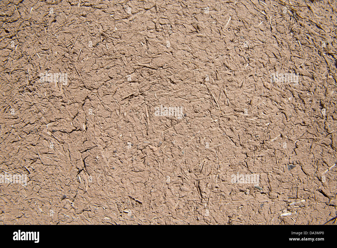 Asia, Iran, Rayen, Arg E Rayen citadel Stock Photo - Alamy