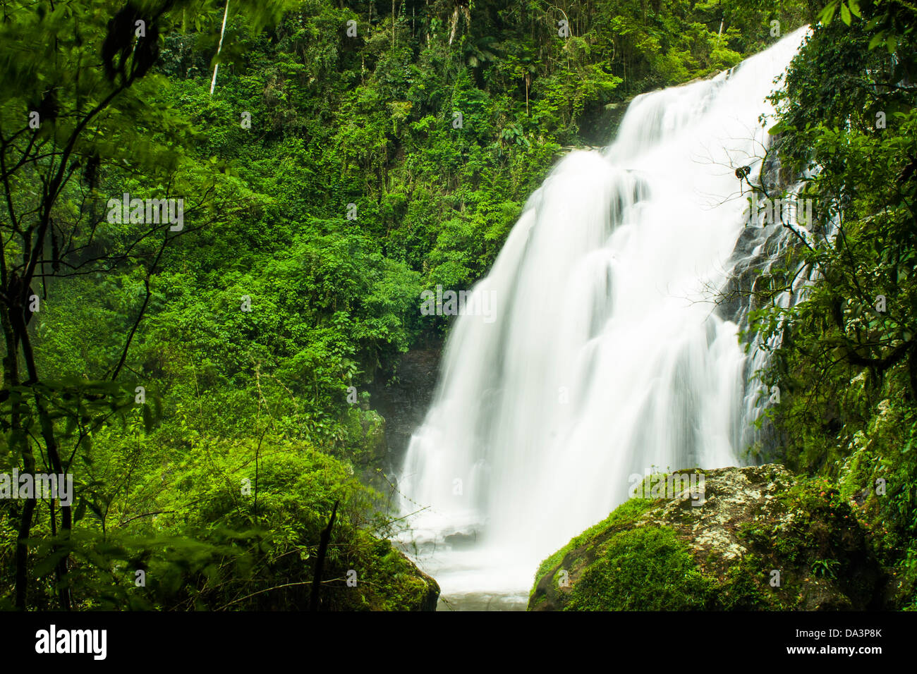 Waterfall in southern Brazil Atlantic Forest Stock Photo - Alamy