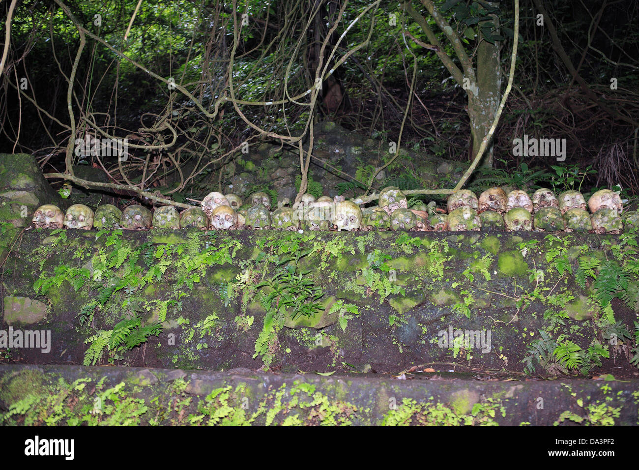 Trunyan village bali indonesia hi-res stock photography and images - Alamy