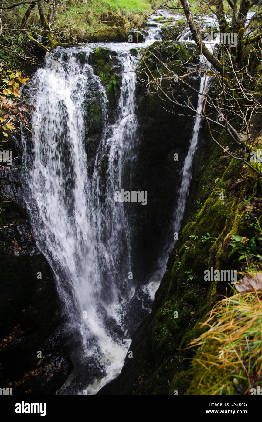 Catrigg Force on Stainforth Beck, cascading through a narrow ravine ...