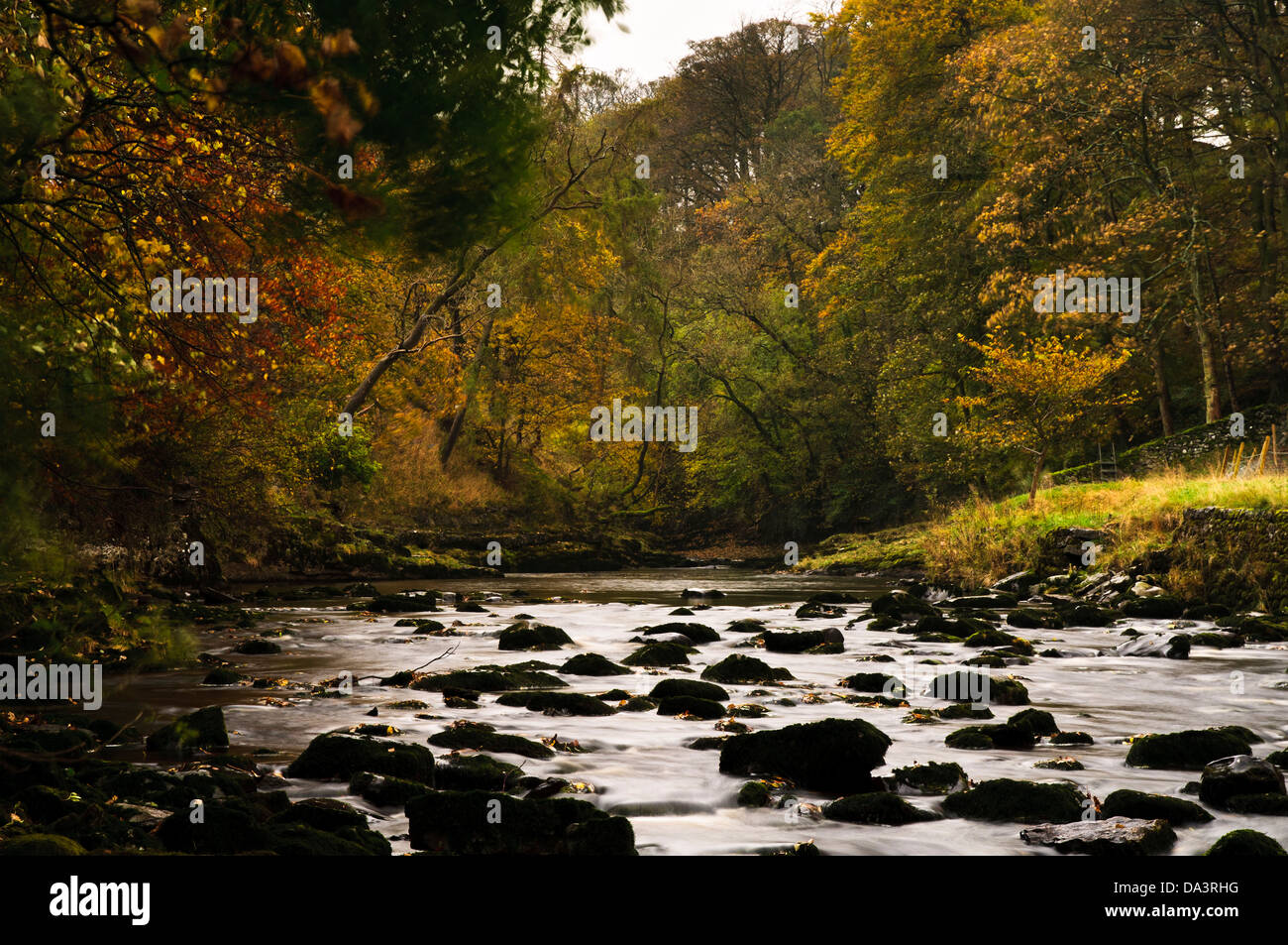 Autumn colours bordering the River Ribble just below Stainforth Force ...