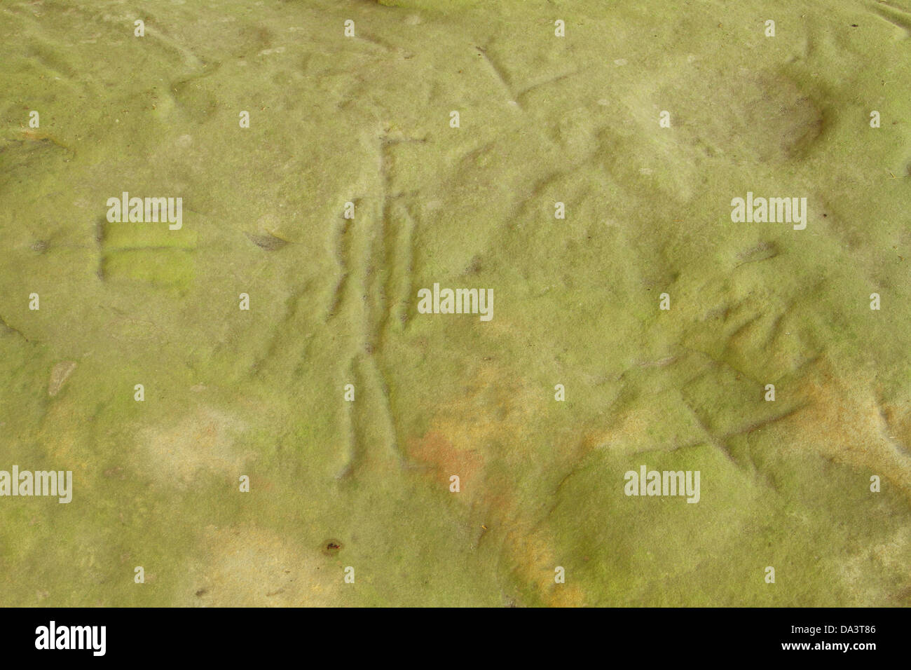 The Sanilac Petroglyphs. Rock carvings from previous inhabitants Stock ...