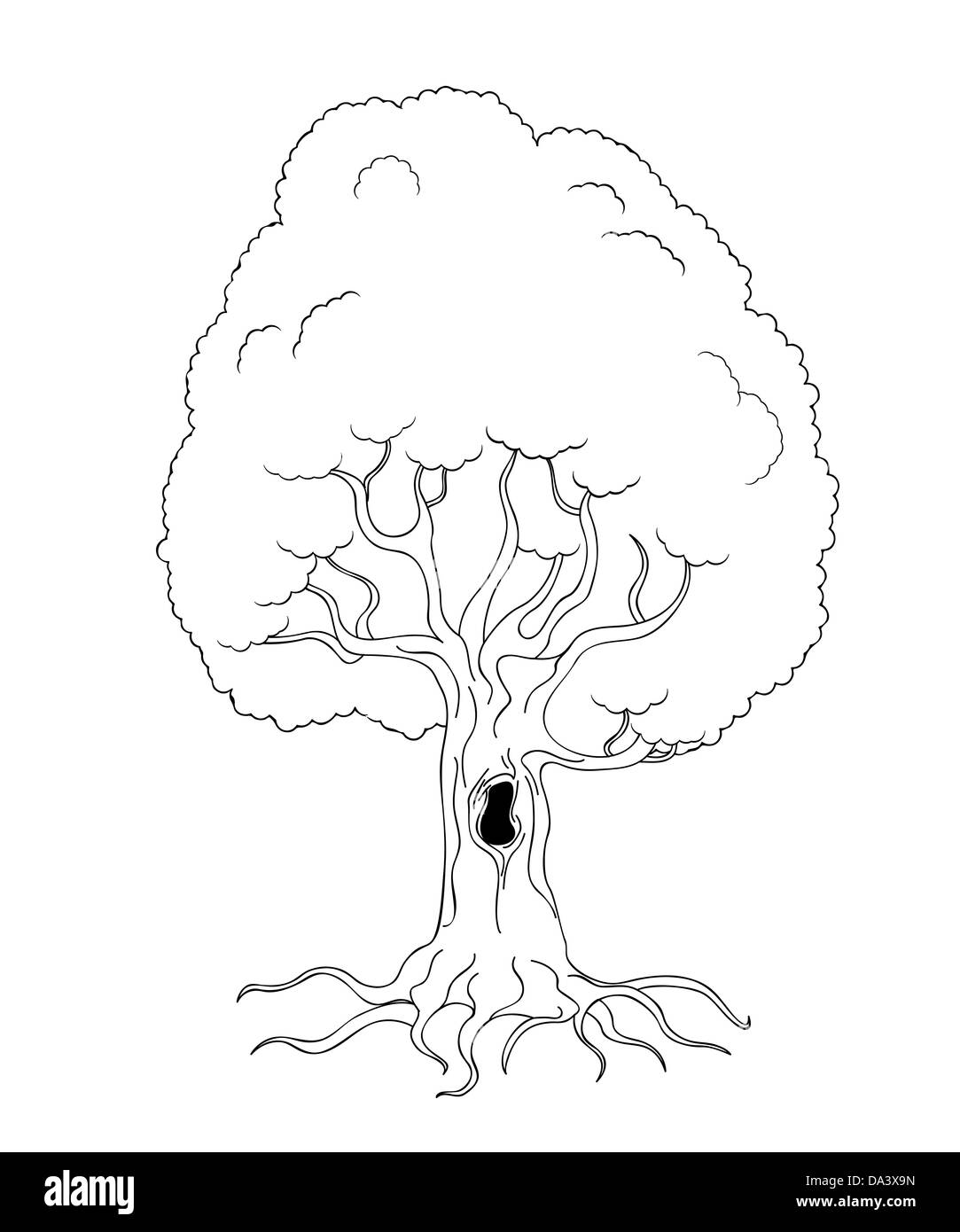 Cartoon Tree With Roots Black And White
