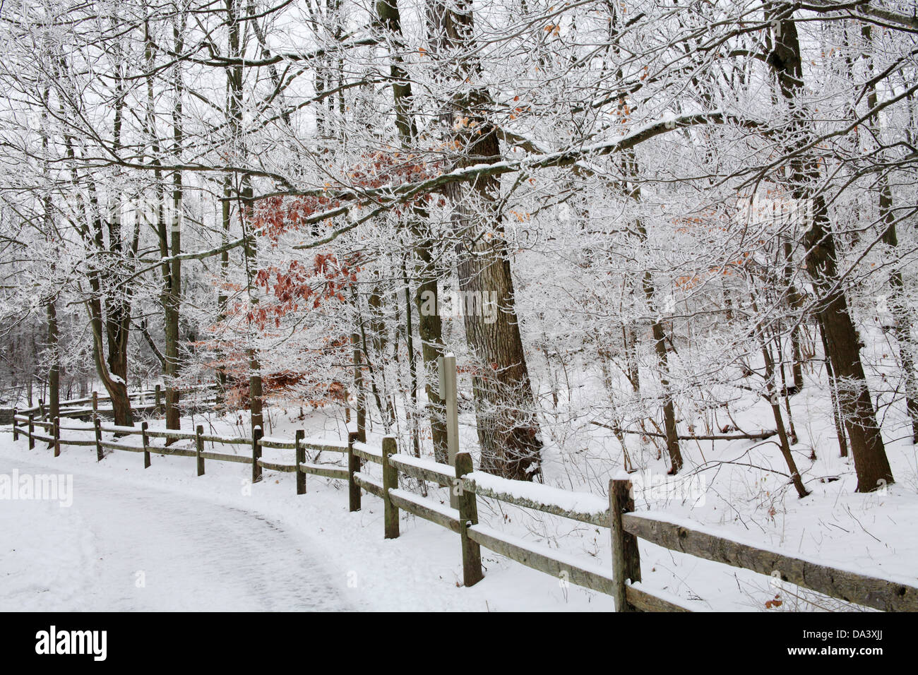 Trees fence hi-res stock photography and images - Alamy