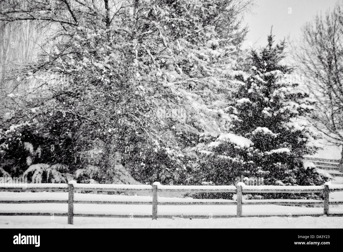 Falling fence hi-res stock photography and images - Alamy