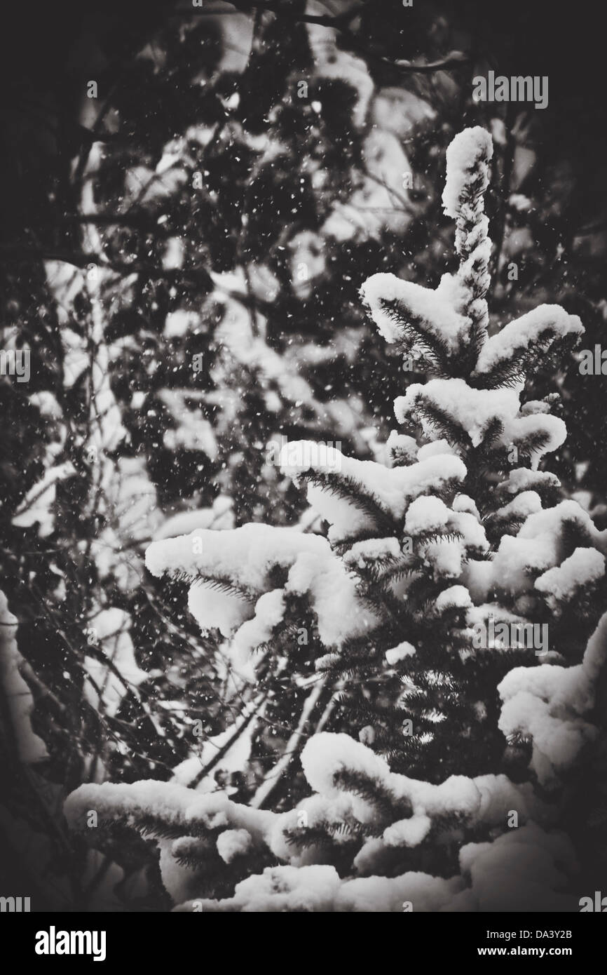 Still falling hi-res stock photography and images - Alamy