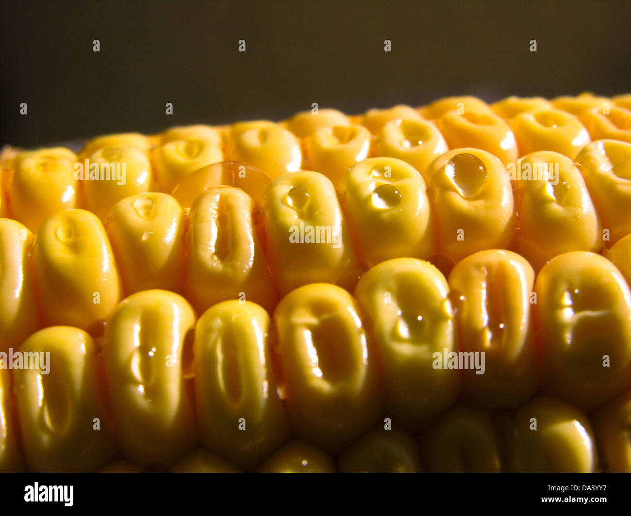 Picture of corn hi-res stock photography and images - Alamy