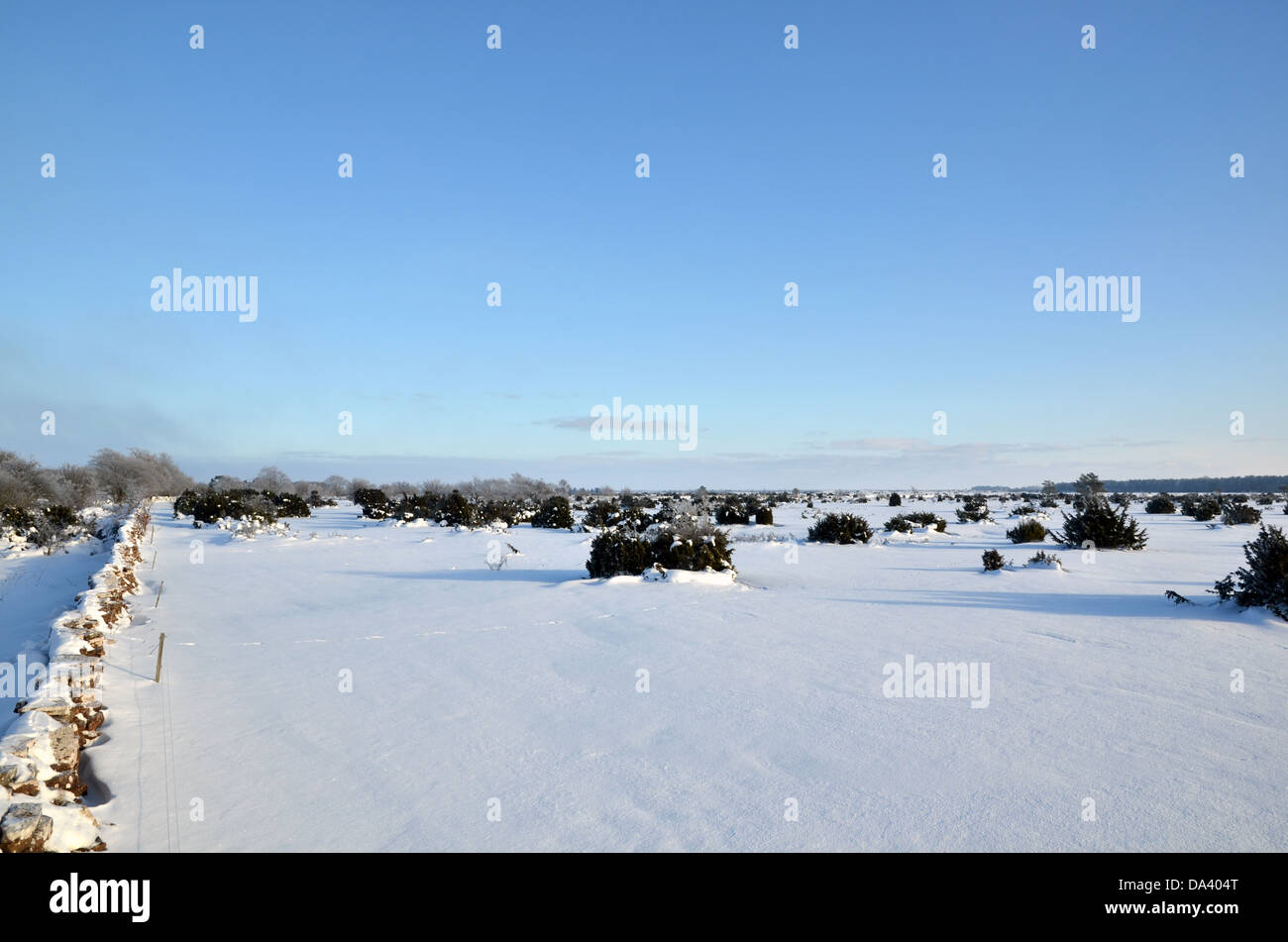 Unique winter sky hi-res stock photography and images - Alamy