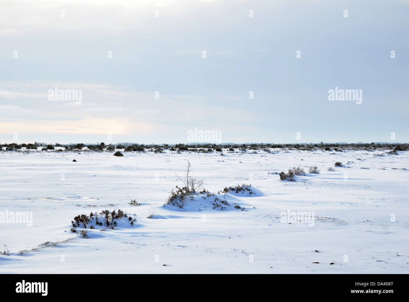 Unique winter hi-res stock photography and images - Alamy
