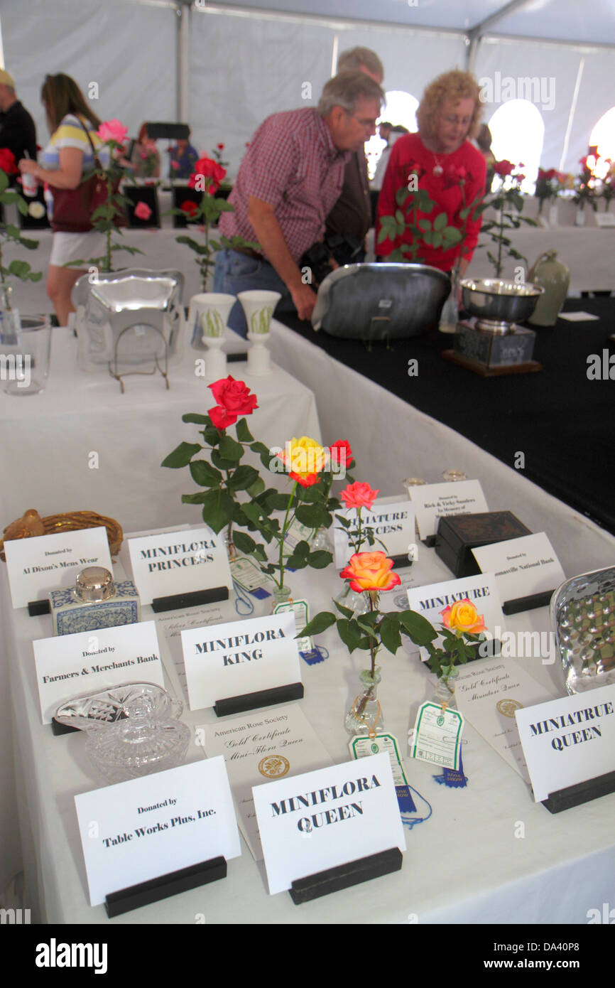 Miniflora hi-res stock photography and images - Alamy