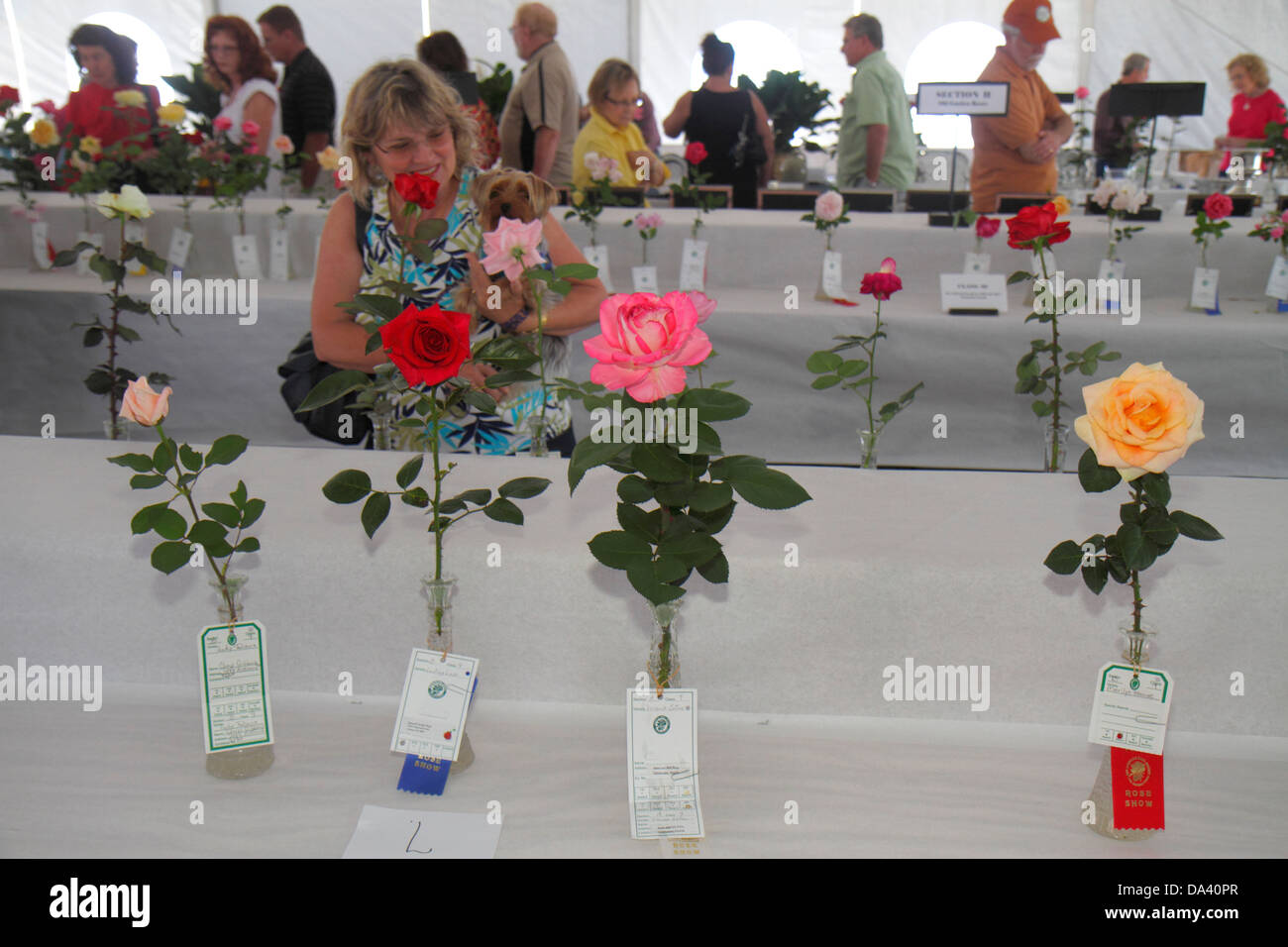 Georgia,Thomasville,downtown,South Broad Street,Rose Show & Festival ...