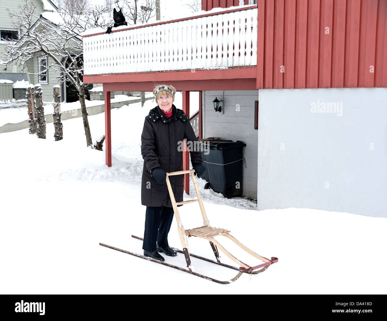 A lady using a Kick-sledge to go shopping on the Lofoten Islands ...