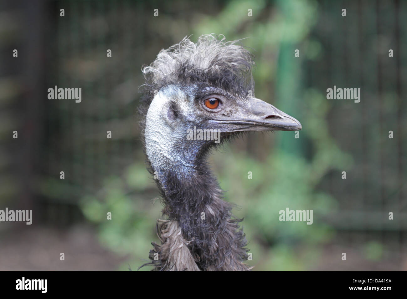 Punk detail hi-res stock photography and images - Alamy