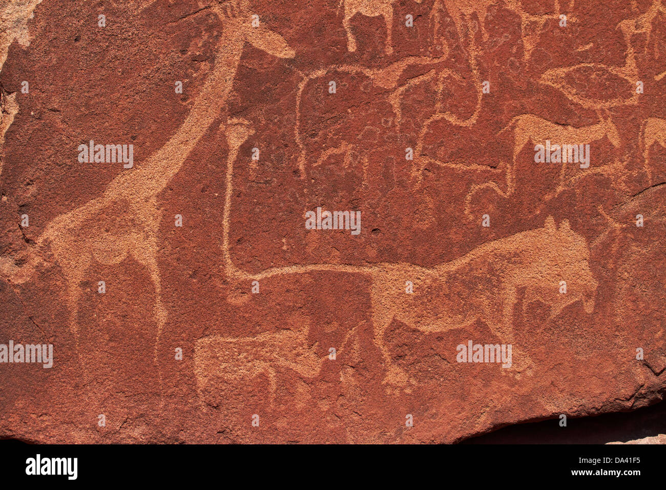 Lion Plate with Lion Man ancient rock etchings, Twyfelfontein UNESCO ...