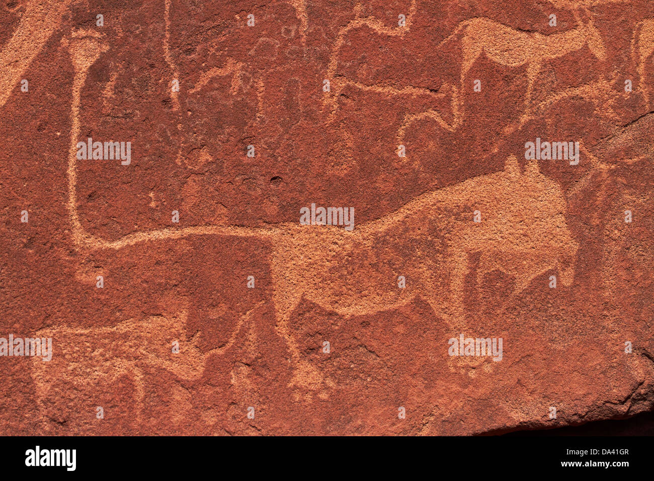 Lion Plate with Lion Man ancient rock etchings, Twyfelfontein UNESCO ...