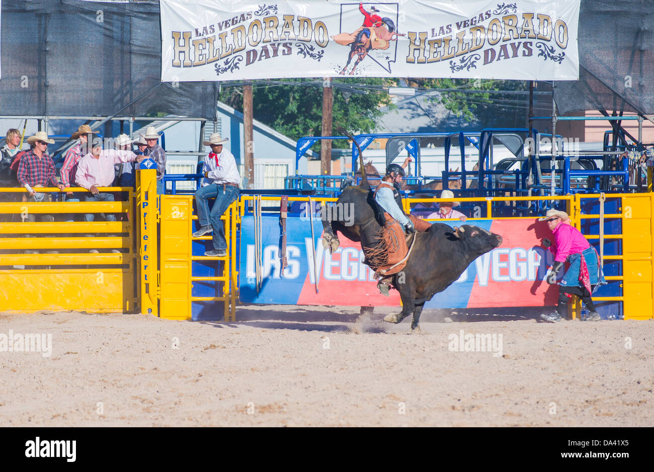Cowboy Participant in a Bull riding Competition at the Helldorado Days ...