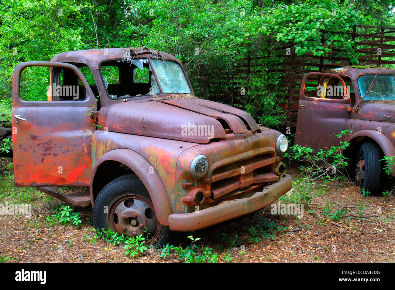 Crawfordville Florida,rusted rusty rusting junked abandoned antique car cars automobile ...