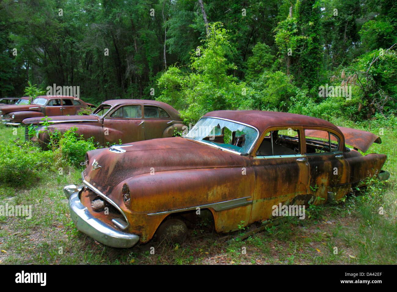 Crawfordville Florida,rusted rusty rusting junked abandoned antique car ...