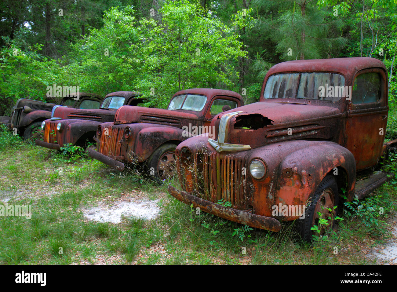 Crawfordville Florida,rusted rusty rusting junked abandoned antique car ...