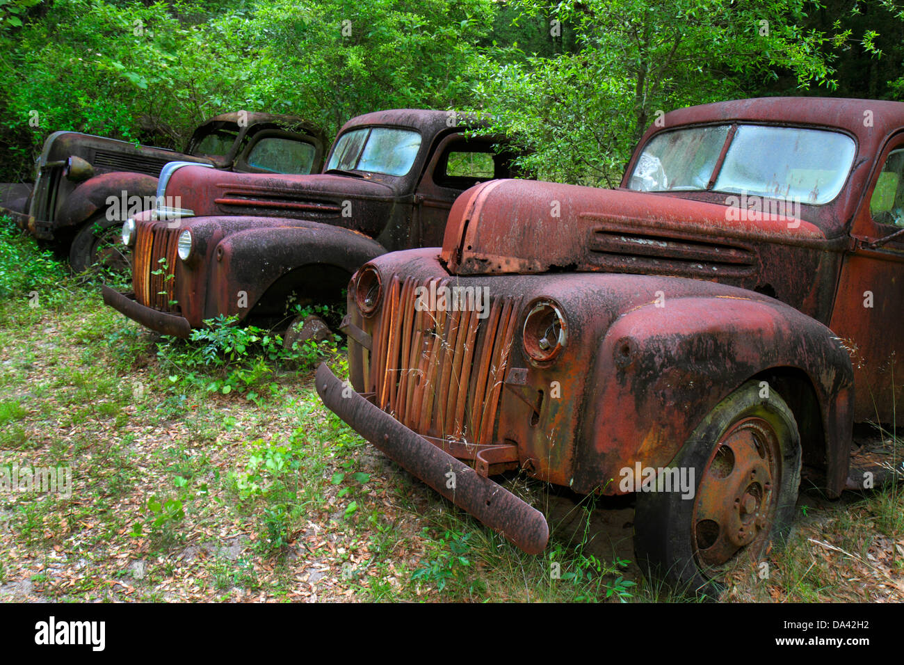 Crawfordville Florida,rusted rusty rusting junked abandoned antique car cars automobile ...