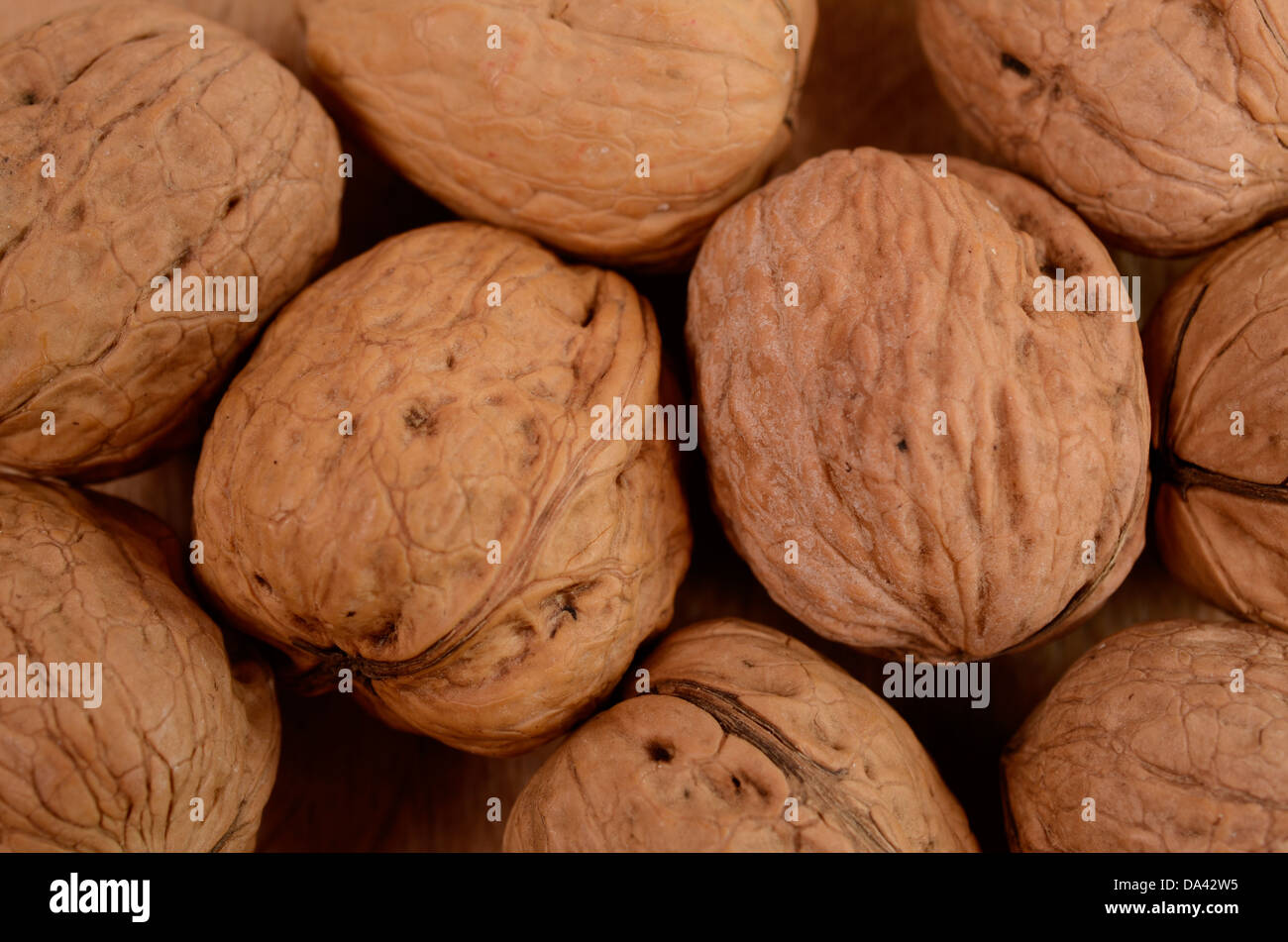 Walnuts structure hi-res stock photography and images - Alamy