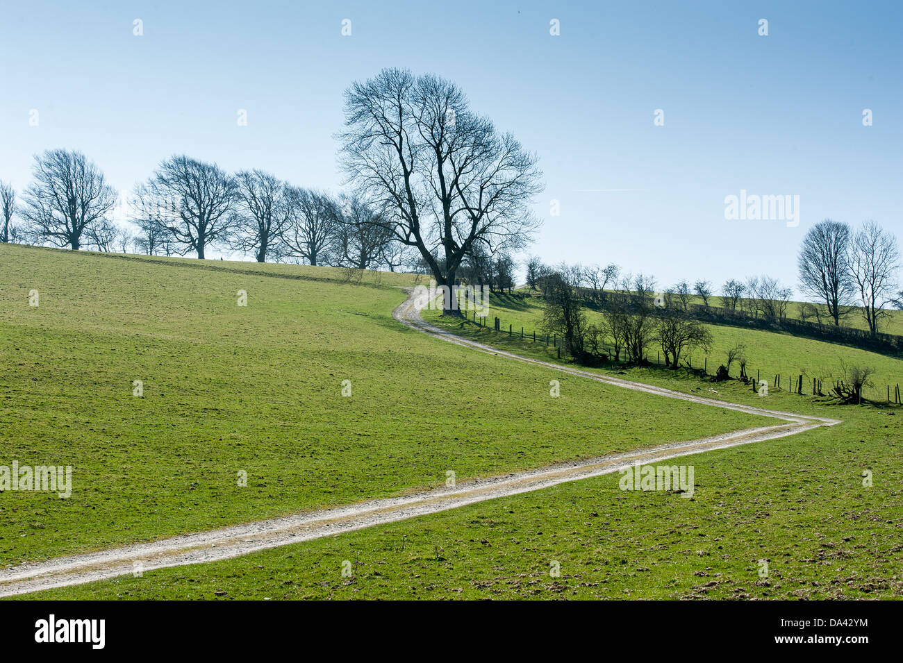 country lane zig zagging across a field Stock Photo - Alamy