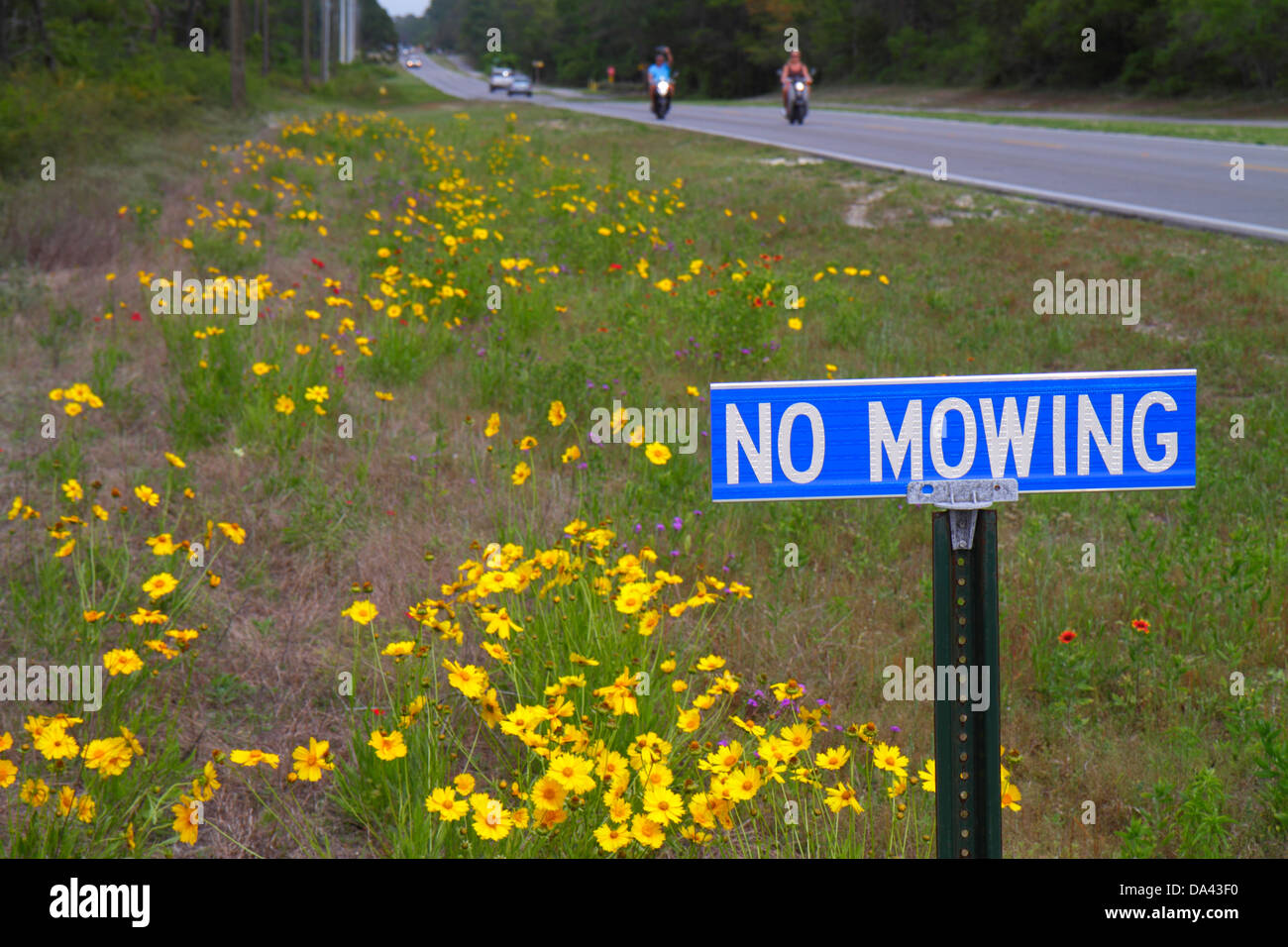 Florida Grayton Beach,County Highway 30A,sign,logo,no mowing ...