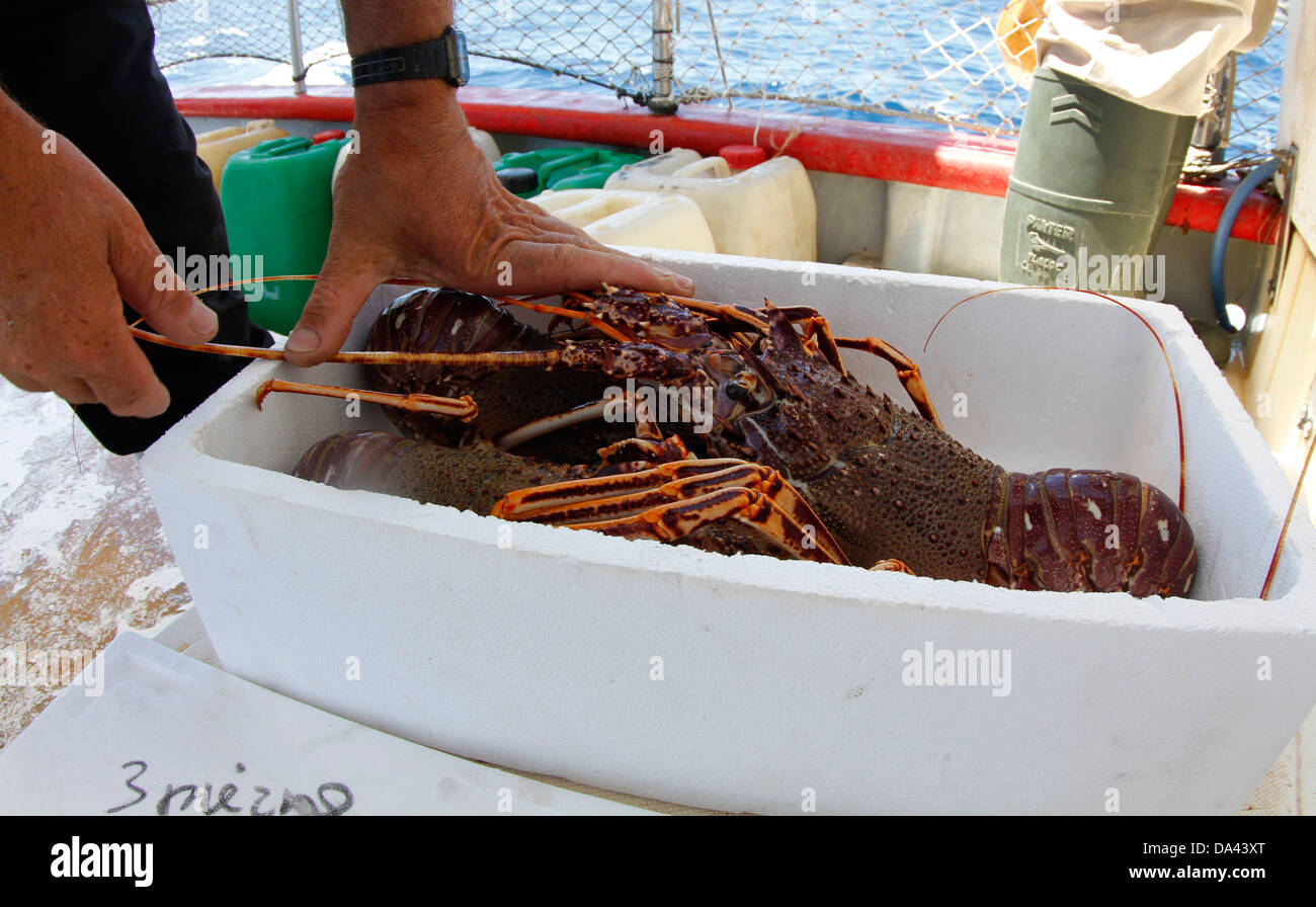 Fish inside a net hi-res stock photography and images - Alamy