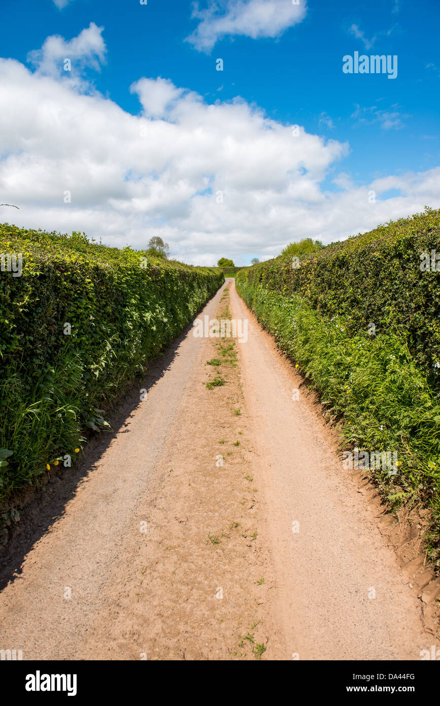 Long straight muddy road hi-res stock photography and images - Alamy