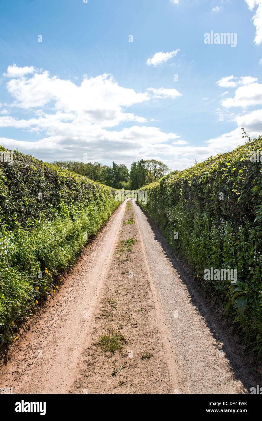 Straight hedges hi-res stock photography and images - Alamy