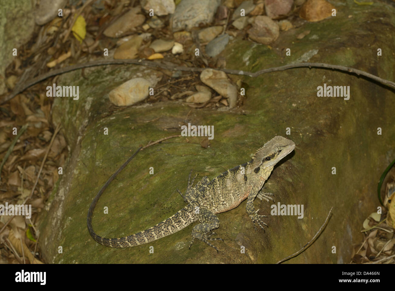 Dragon rocks hi-res stock photography and images - Alamy