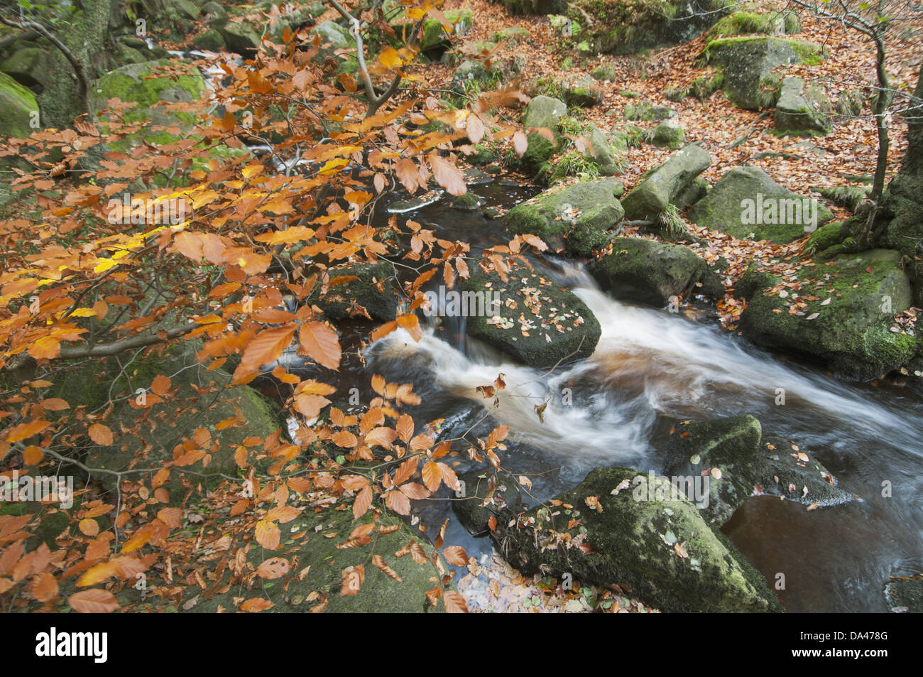 Burbage common hi-res stock photography and images - Alamy