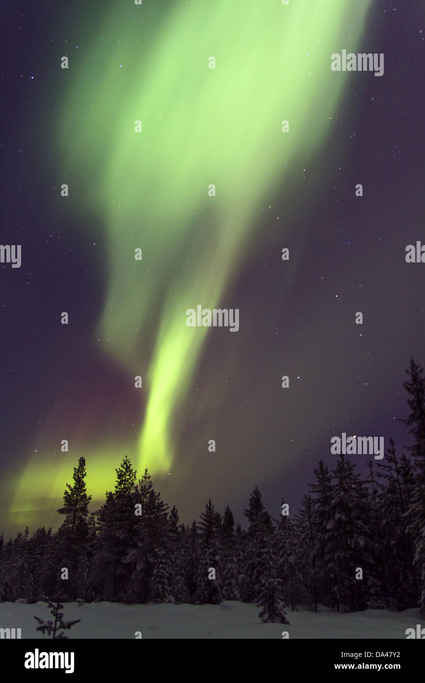 Boreal forest taiga aurora hi-res stock photography and images - Alamy