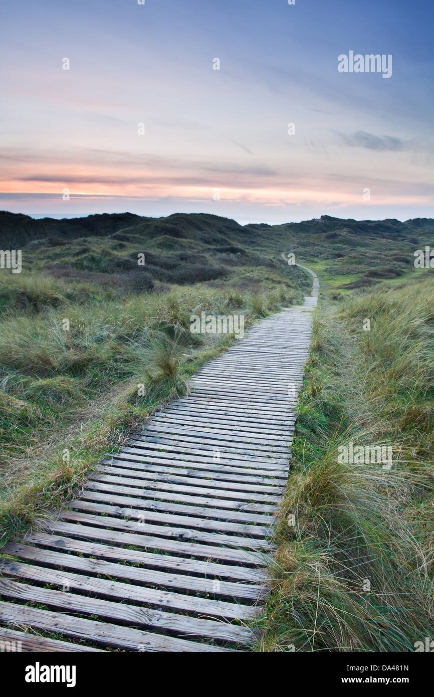 Boardwalk across vegetated coastal sand dune habitat at sunset part of ...