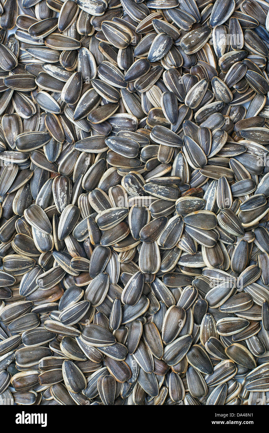 Texture of sunflower seeds Stock Photo - Alamy