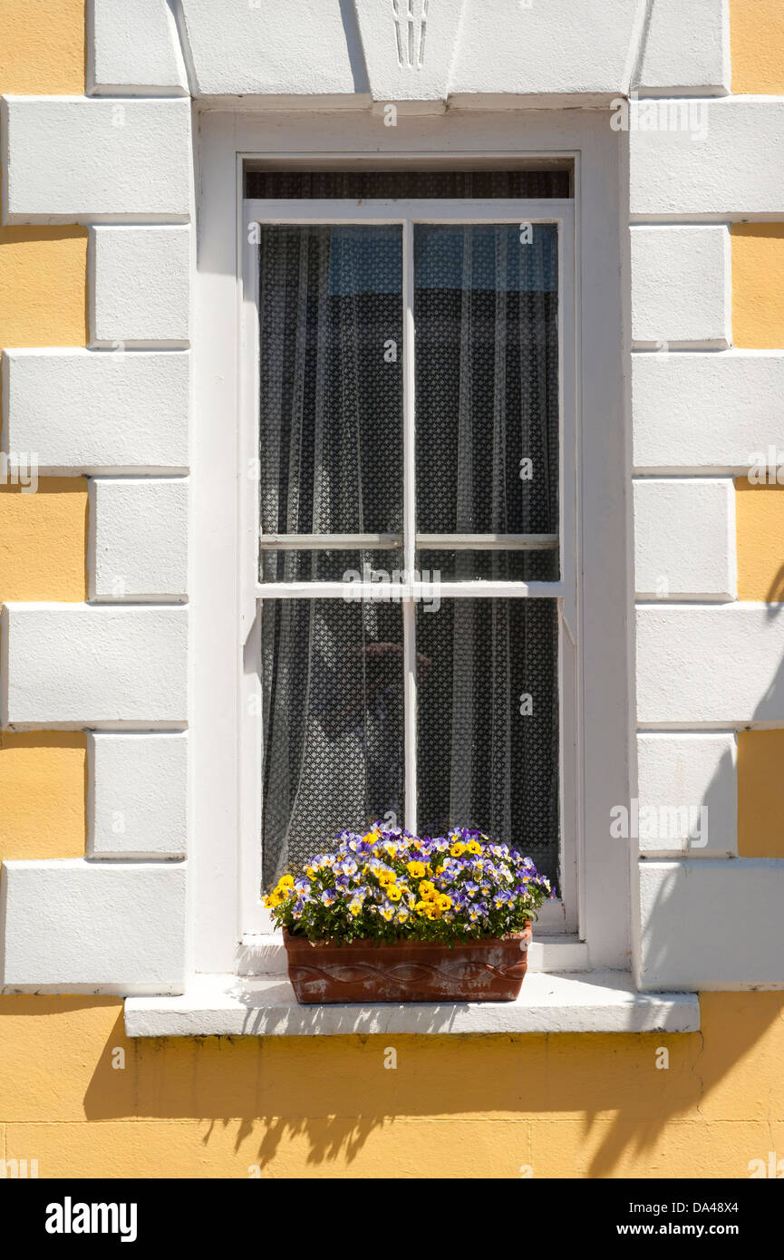 Yellow and white fronted house, Aberaeron Stock Photo - Alamy