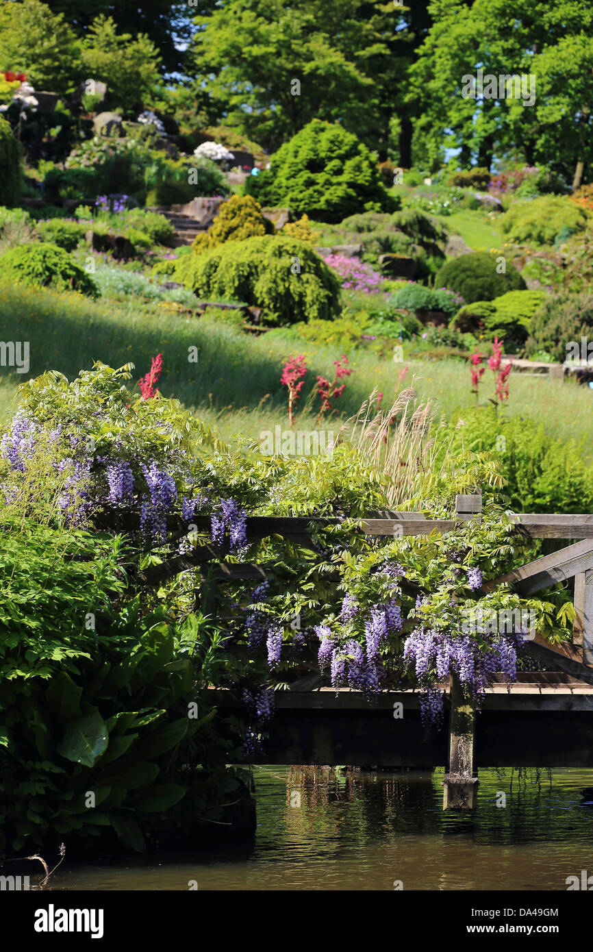 Wisley Gardens Surrey, England Stock Photo - Alamy