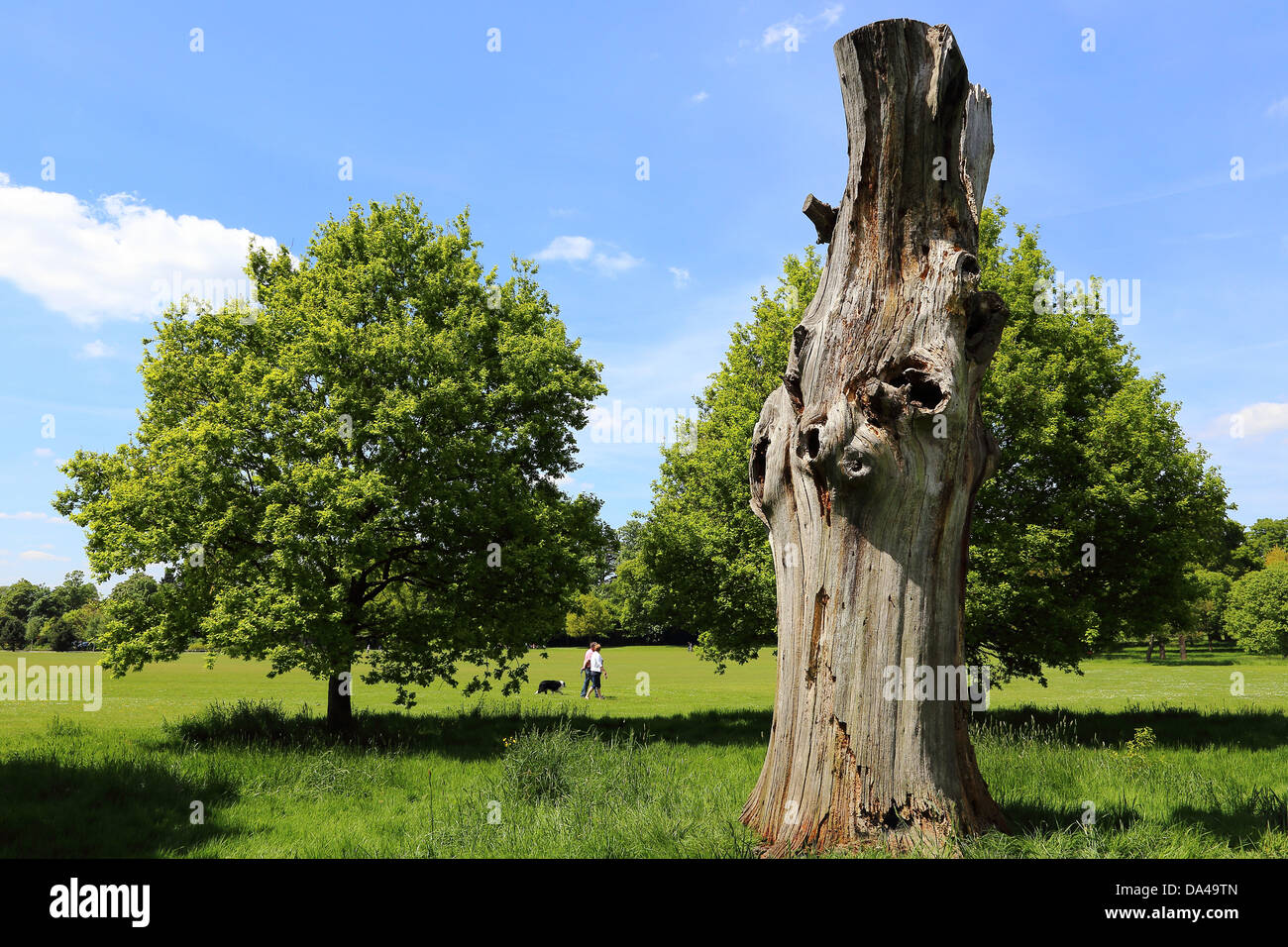 Horsham Park Surrey England Stock Photo - Alamy