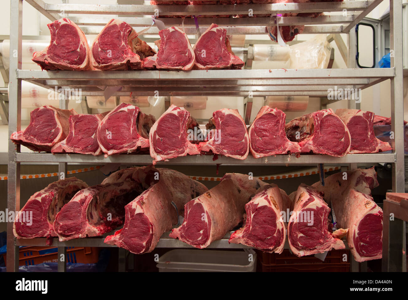 Abattoir uk hi-res stock photography and images - Alamy