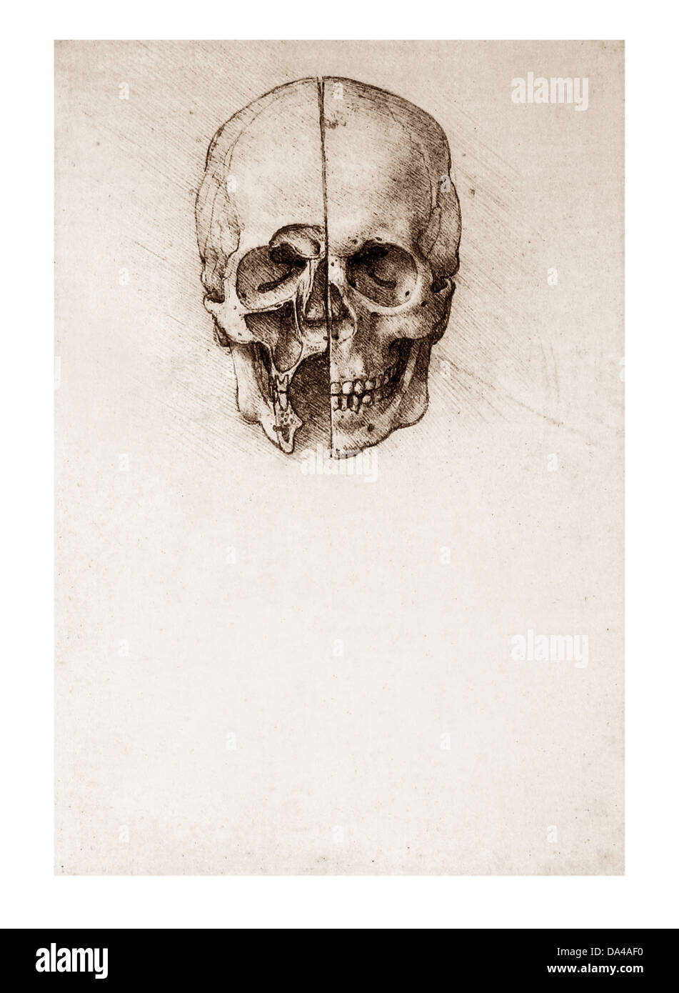 Sketched face Cut Out Stock Images & Pictures - Alamy