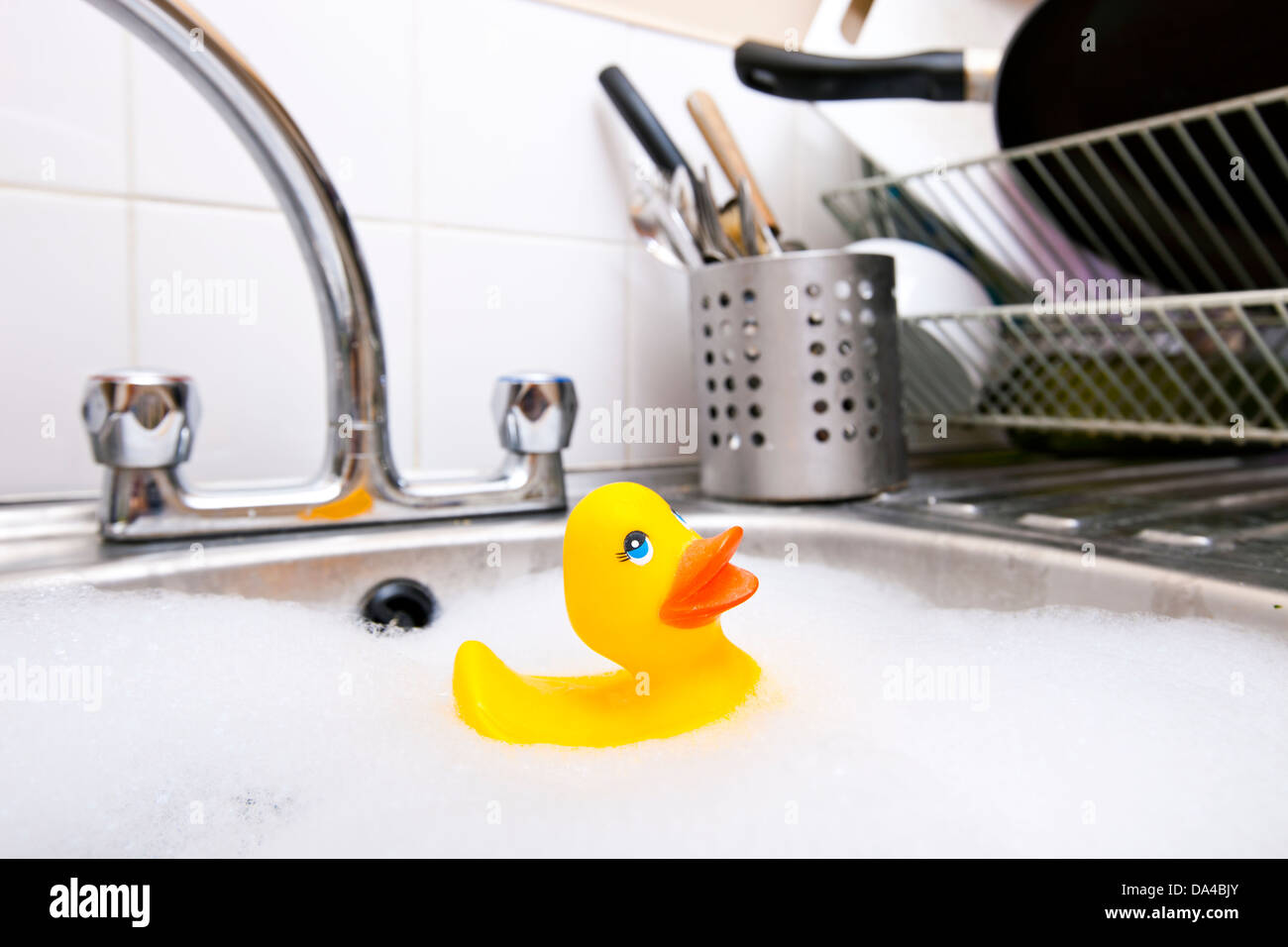 Rubber duck in kitchen sink Stock Photo - Alamy