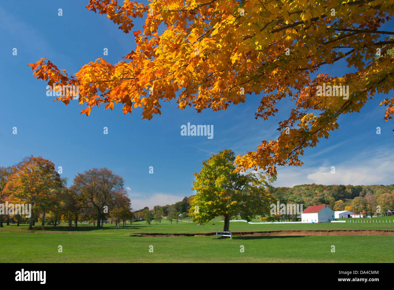 FALL FOLIAGE INDIANA COUNTY PENNSYLVANIA USA Stock Photo - Alamy