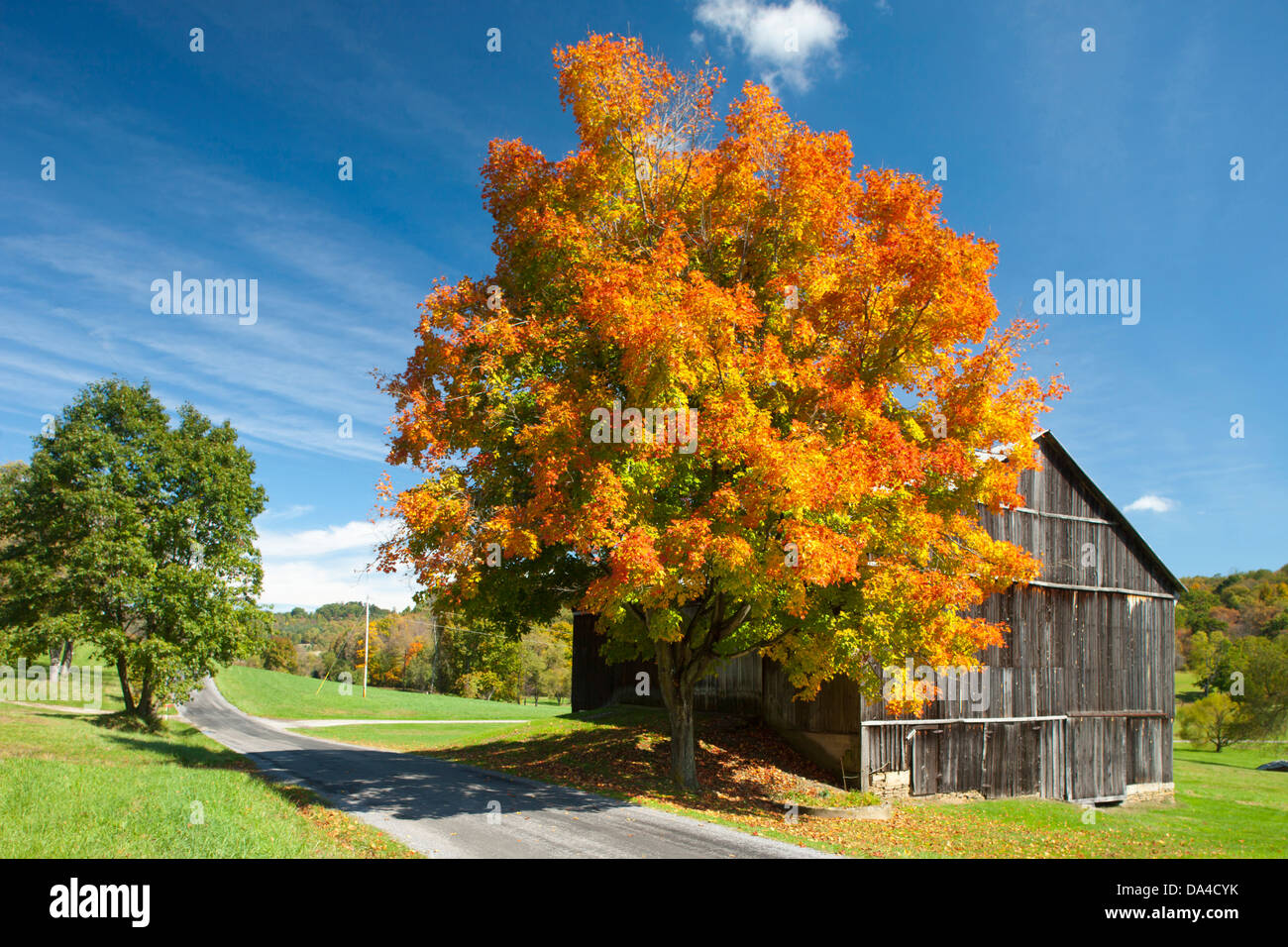 FALL FOLIAGE COUNTRY ROAD INDIANA COUNTY PENNSYLVANIA USA Stock Photo ...