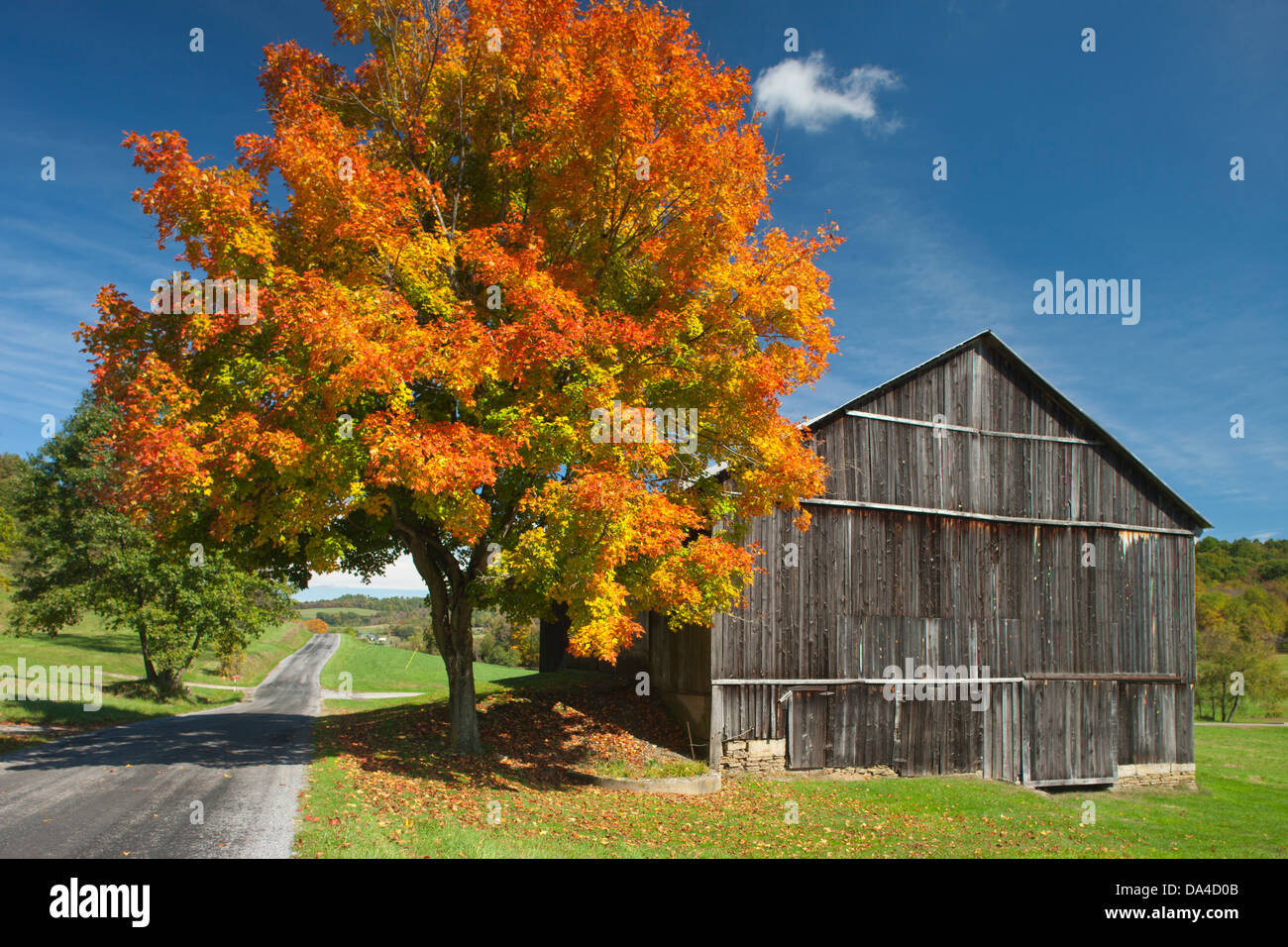 FALL FOLIAGE COUNTRY ROAD INDIANA COUNTY PENNSYLVANIA USA Stock Photo ...