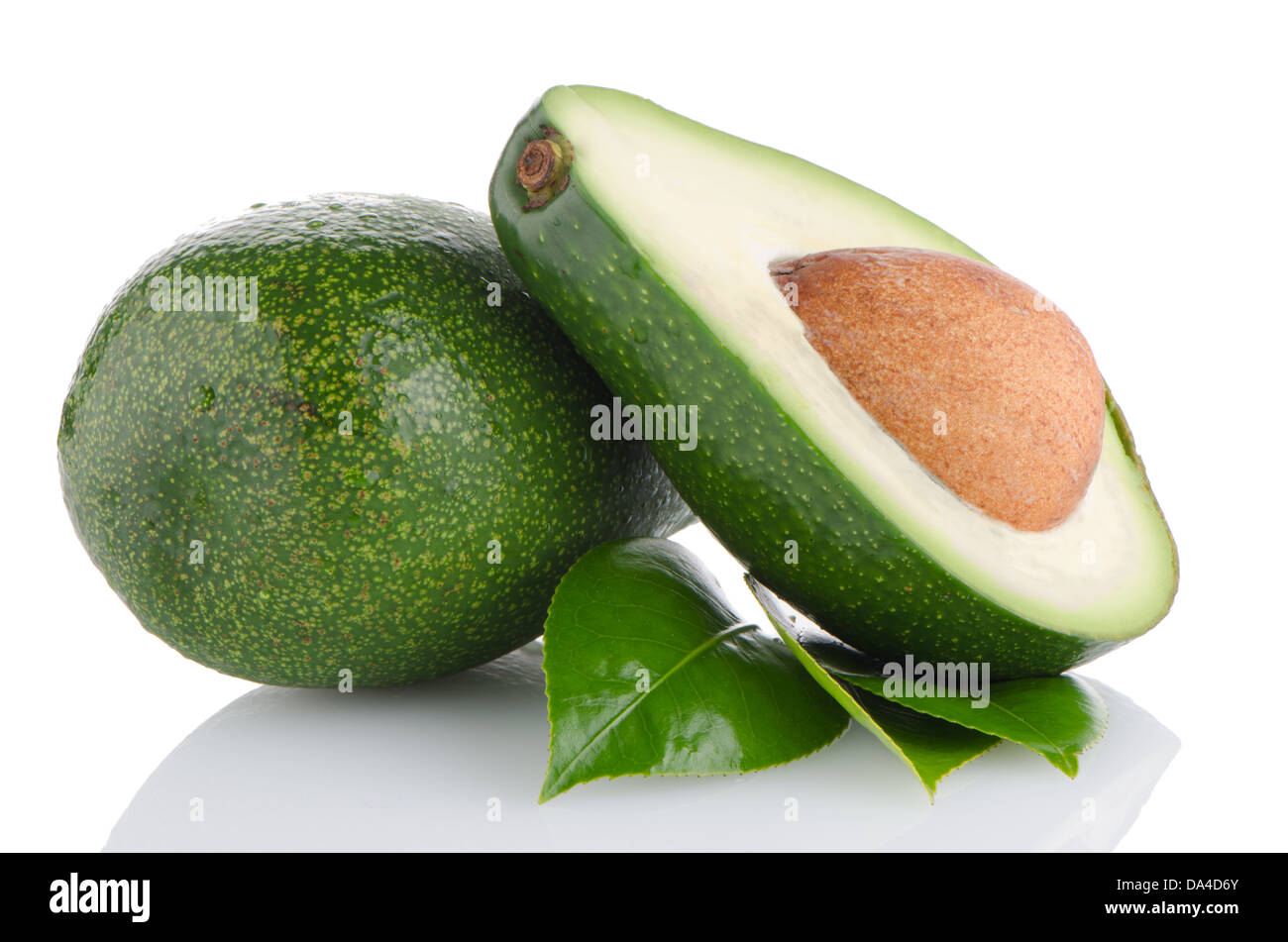 Avocado fruits on white background Stock Photo - Alamy